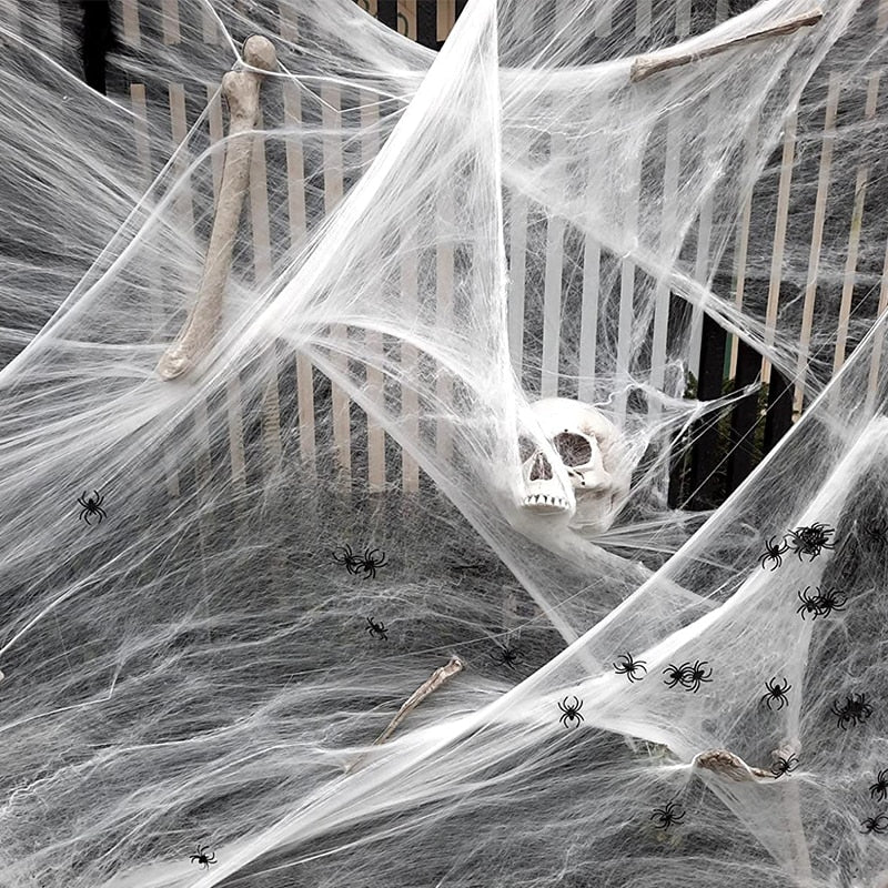 halloween cobweb
